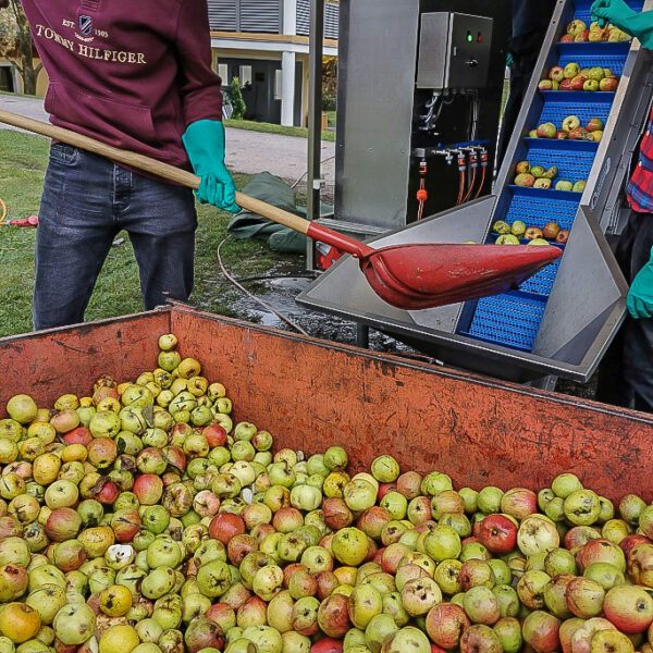 OBST waschen - der erste Schritt zum eigenen Saft