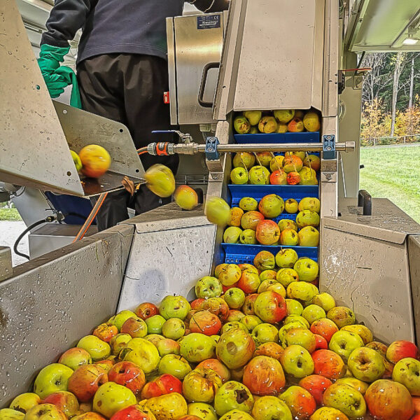 OBST waschen - der erste Schritt zum eigenen Saft